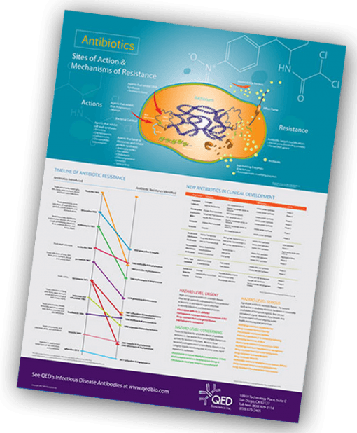 Research Posters – QED Bioscience Inc