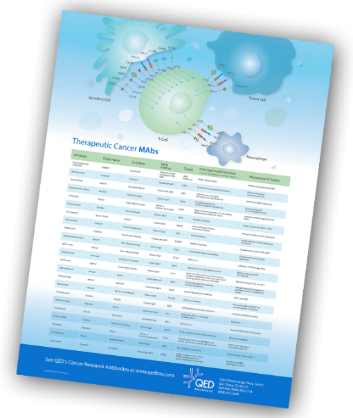 Research Posters – QED Bioscience Inc