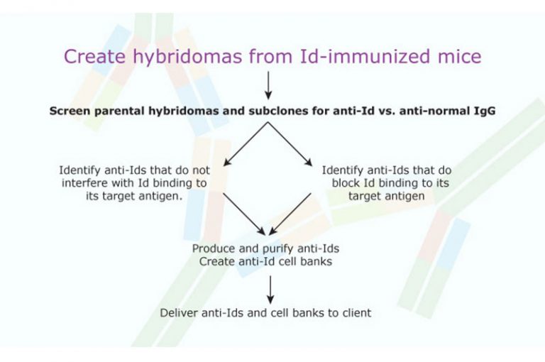Anti-Idiotype Monoclonal Antibody Development – QED Bioscience Inc